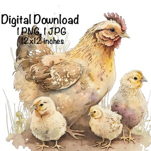 Farm Chicken & Chicks Watercolor Farm Hen Boys Girls Clipart Wall Art ...
