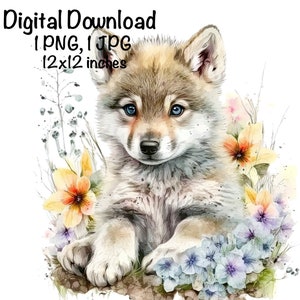 Wolf Watercolor Clipart Wild Baby Wolf Spring Flowers PNG Commercial ...