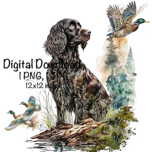 Boykin Spaniel Dog Watercolor Clipart Boykin Dog PNG Commercial Use ...