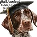 Pointer Dog Watercolor Clipart Graduation Cute Dog PNG Commercial Use ...