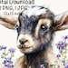 Farm Baby Goat Watercolor Clipart Goat Portrait Farmer Farm PNG ...