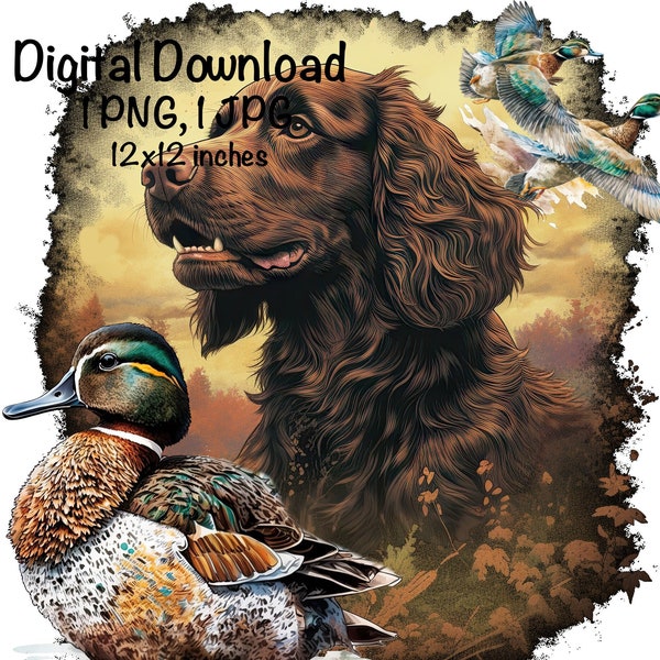 Boykin Spaniel - Etsy