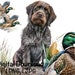 Duck Hunting PNG, Hunting Dog and Duck, Digital Download, Duck Hunting ...