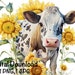Dairy Milk Cow Watercolor Clipart Highland Cow Sunflowers Flowers PNG ...