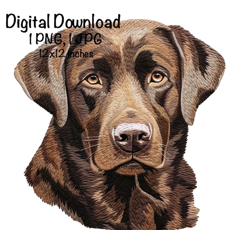 Lab Embroidery Design - Etsy