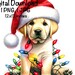 Christmas Labrador Puppy PNG Christmas Lights Santa Yellow Labrador ...