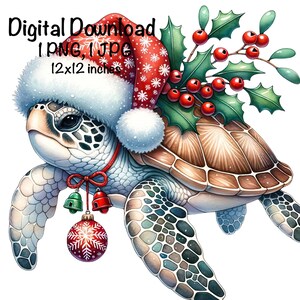 Sea Turtle PNG Clipart Sea Turtle Christmas Holiday PNG Commercial Use ...
