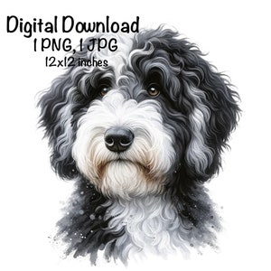 Sheepadoodle Sublimation PNG, Doodle Dog Portrait, Sheepa Doodle PNG ...
