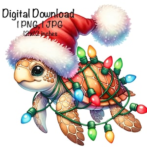 Sea Turtle PNG Clipart Sea Turtle Christmas Holiday PNG Commercial Use ...