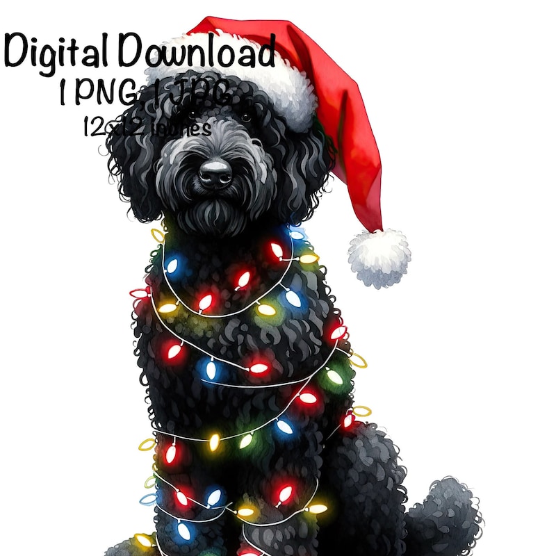 Doodle Drawing Santa Hat Png - Etsy UK