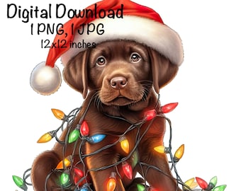 Christmas Labrador PNG Christmas Lights Santa Chocolate Labrador ...