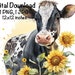 Dairy Milk Cow Watercolor Clipart Highland Cow Sunflowers Flowers PNG ...