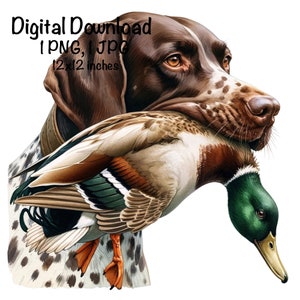 Pointer Dog PNG, Duck Hunting Dog PNG, Commercial Use, Bird Hunting Dog ...