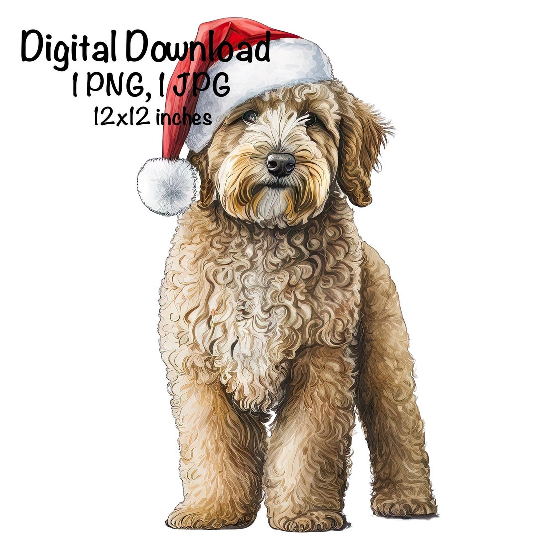 Christmas Golden Doodle Clipart Doodle Dog Christmas Holiday Santa Hat ...