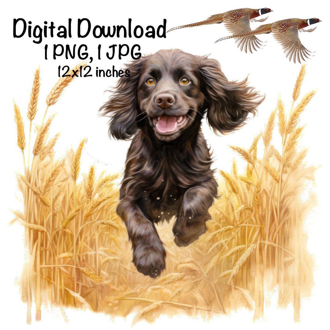 Boykin Spaniel Dog Watercolor Hunter Bokin Cute Dog PNG Commercial Use ...