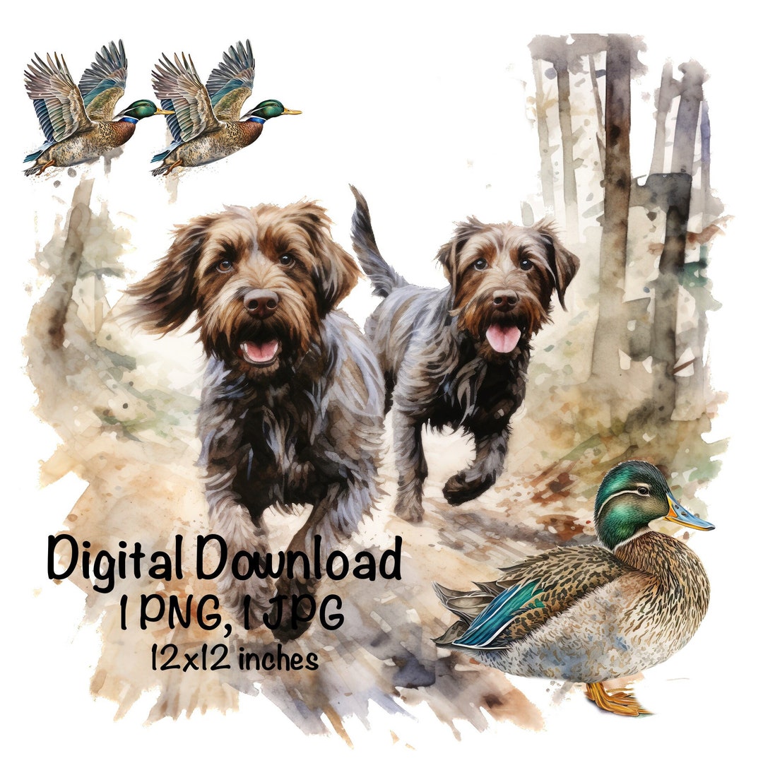 Duck Hunting PNG, Hunting Dog and Duck, Digital Download, Duck Hunting ...
