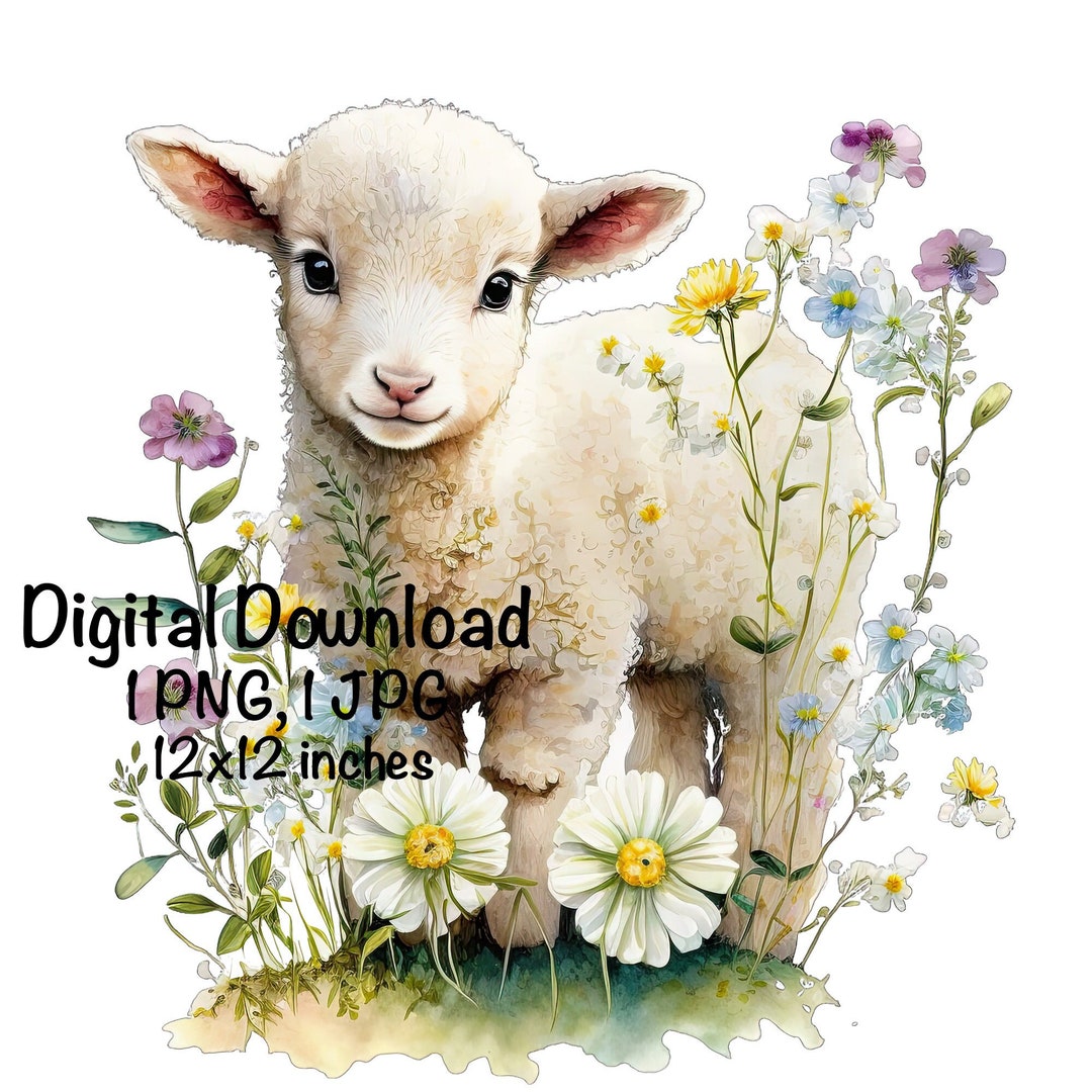 Cute Baby Lamb Watercolor Clipart Lamb Spring Daisy Flowers PNG ...