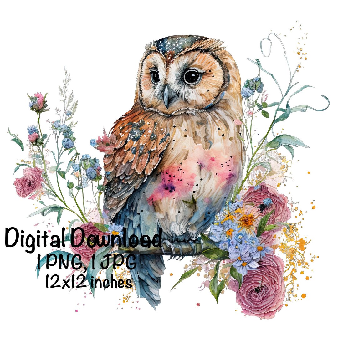 Owl Watercolor Clipart Night Owl & Spring Flowers PNG Commercial Use ...