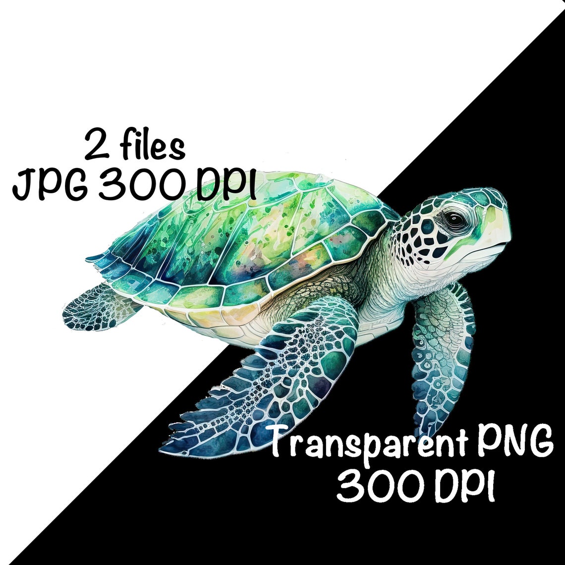 Sea Turtle Sea Turtle Watercolor Clipart Ocean Animals Sea - Etsy