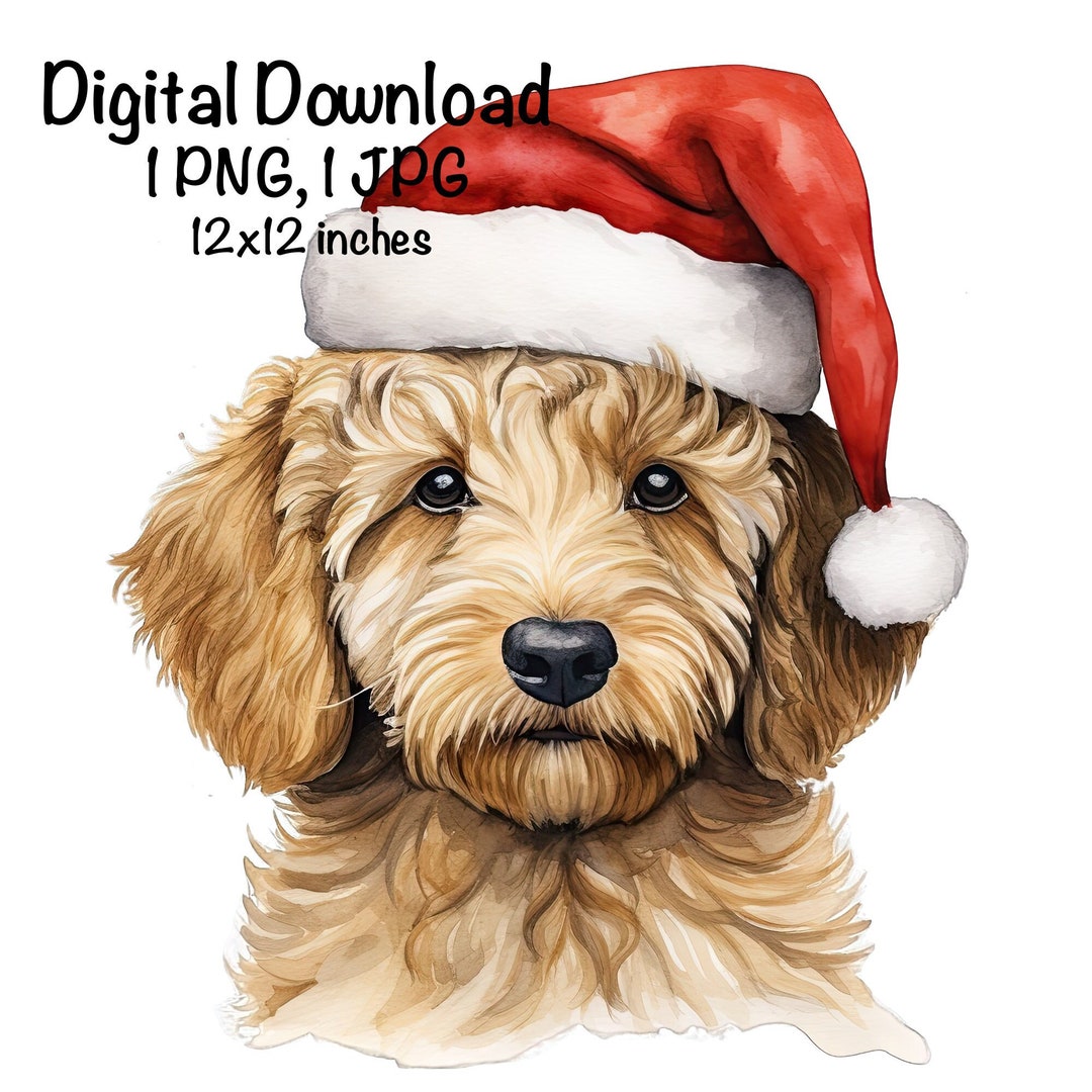 Christmas Golden Doodle Clipart Doodle Dog Christmas Holiday Santa Hat ...
