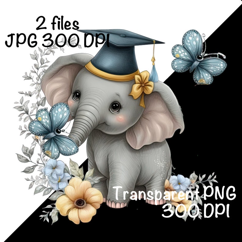 Elephant Cute Elephant Clipart Safari Animals Elephant PNG - Etsy