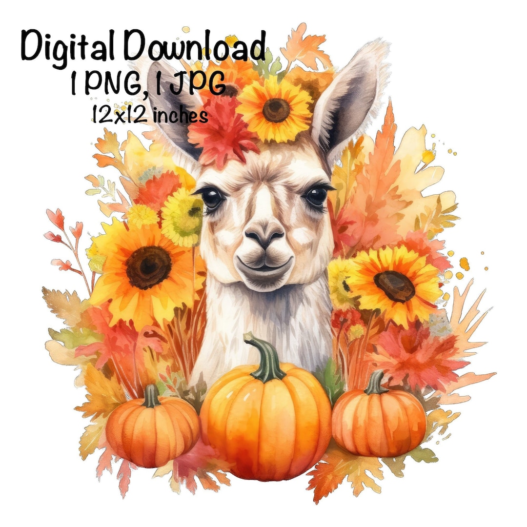 Llama PNG Fall Thanksgiving Sublimation Llama Sublimation Png Cute ...