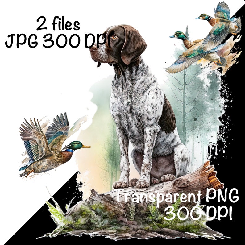 Pointer Dog Watercolor Clipart German Shorthair Pointer PNG - Etsy
