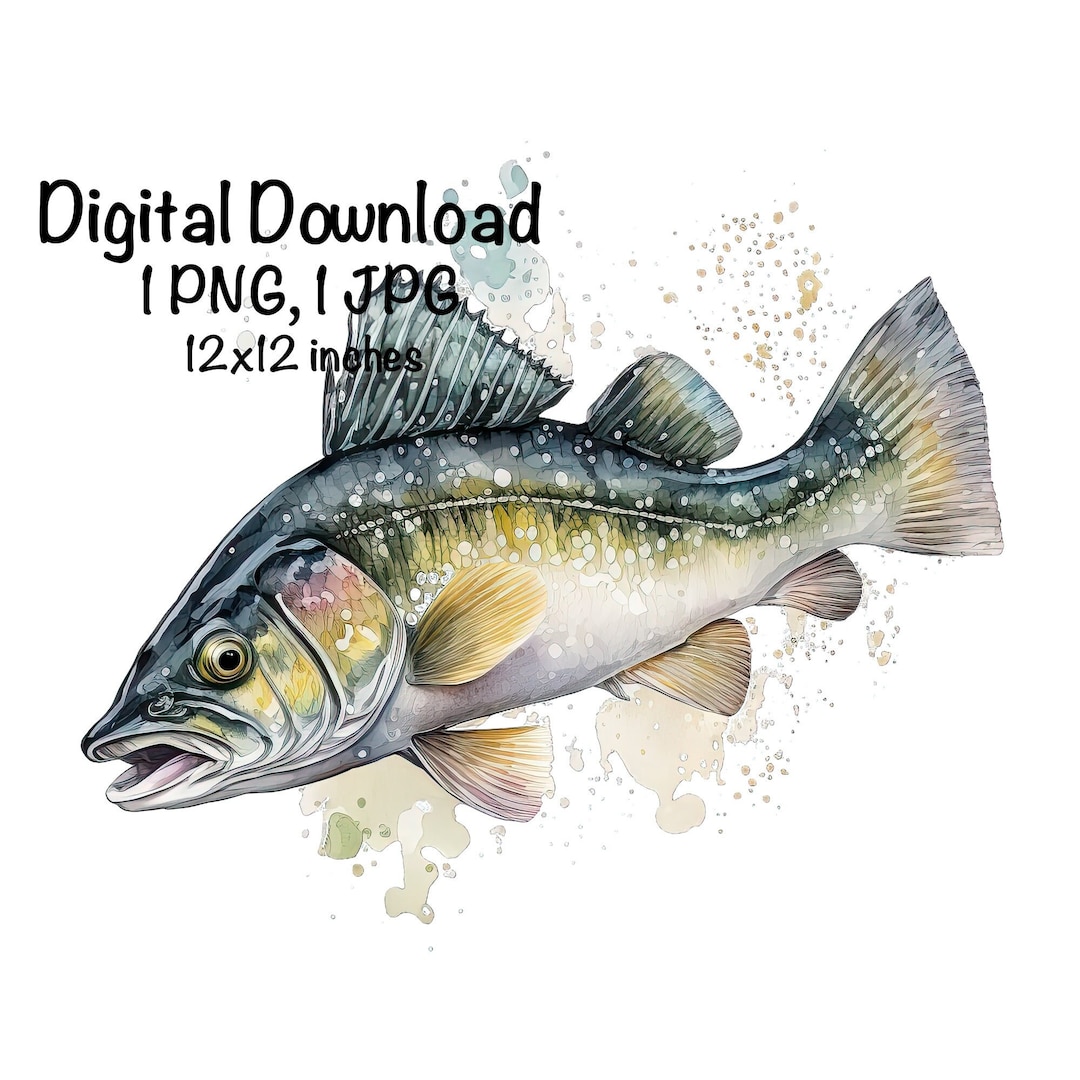 Walleye Fish Watercolor Freshwater Fish Clipart Yellow Pike Fish ...