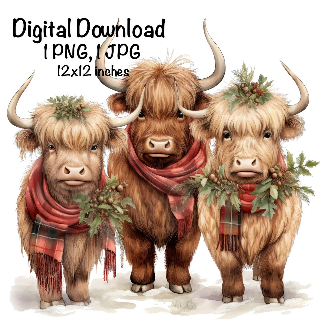 Christmas Highland Cows PNG Highland Cow Christmas Sublimation Holiday ...