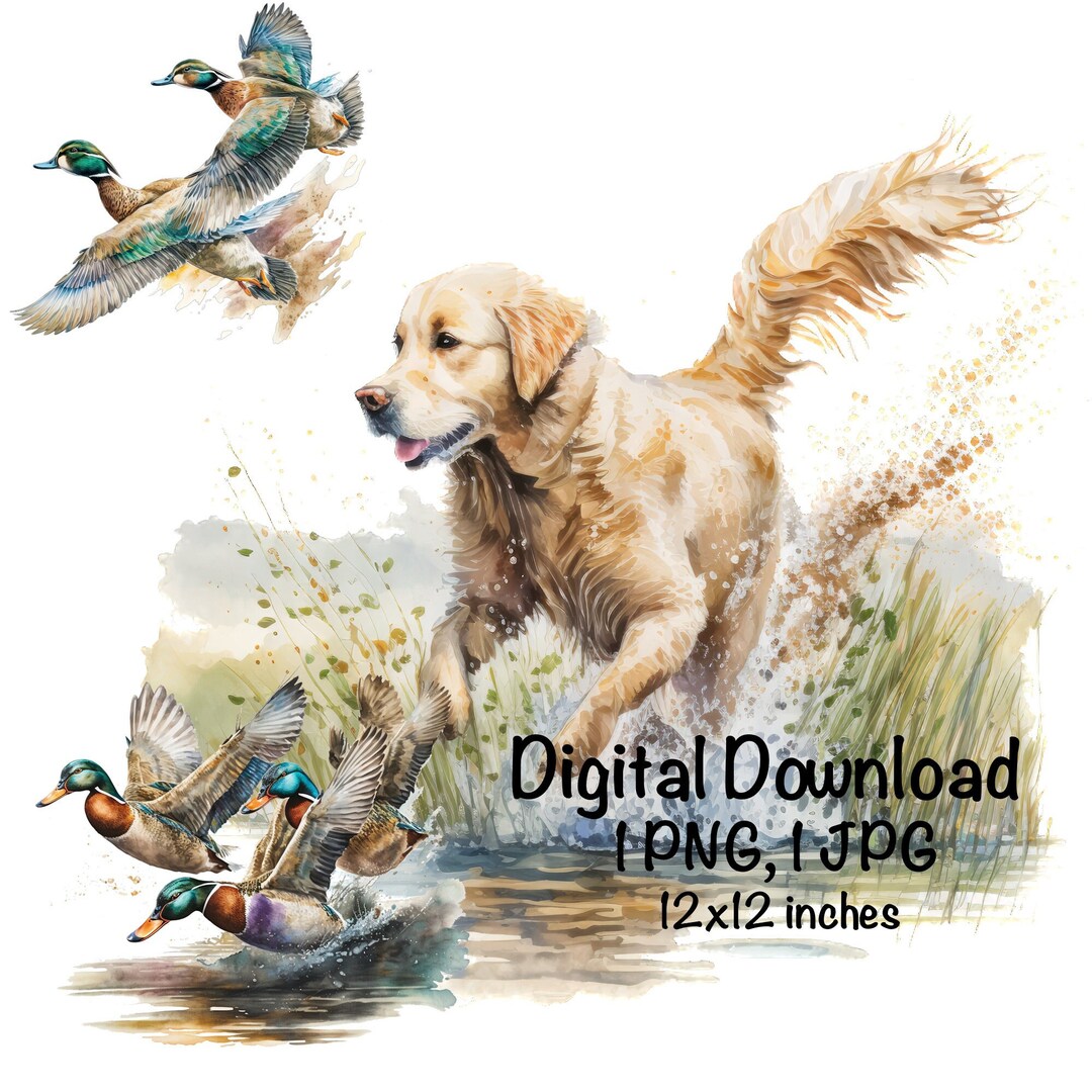 Duck Hunting Dog Watercolor Clipart Golden Retriever Dog PNG Commercial ...