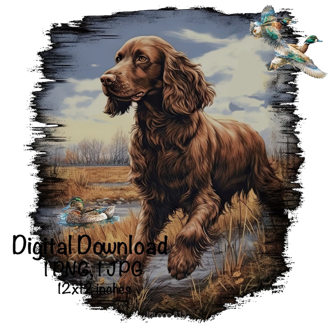 Boykin Spaniel Dog Watercolor Vintage Bokin Cute Dog PNG Commercial Use ...