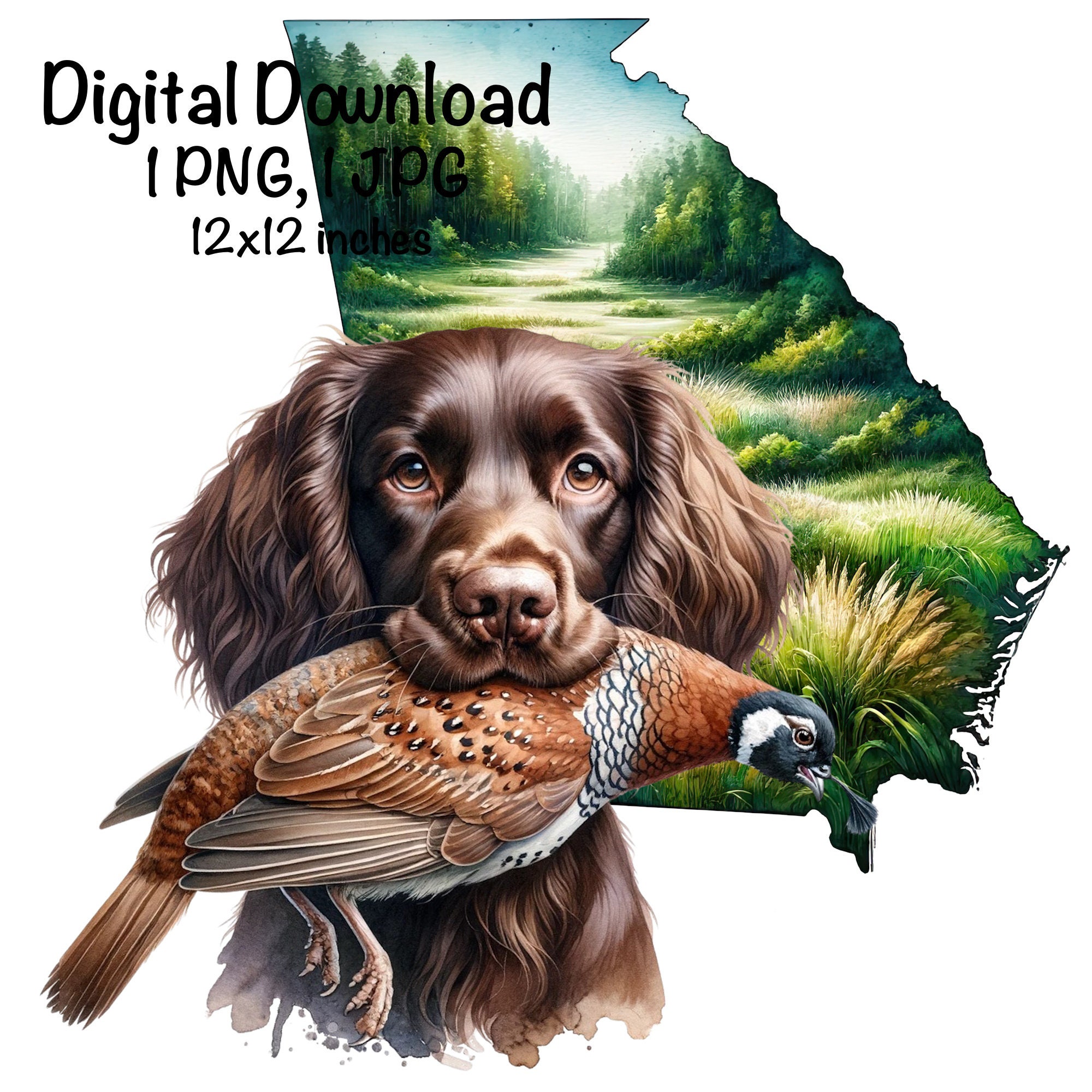 Georgia Quail Hunting Dog PNG Boykin Spaniel Dog GA Map Hunting ...