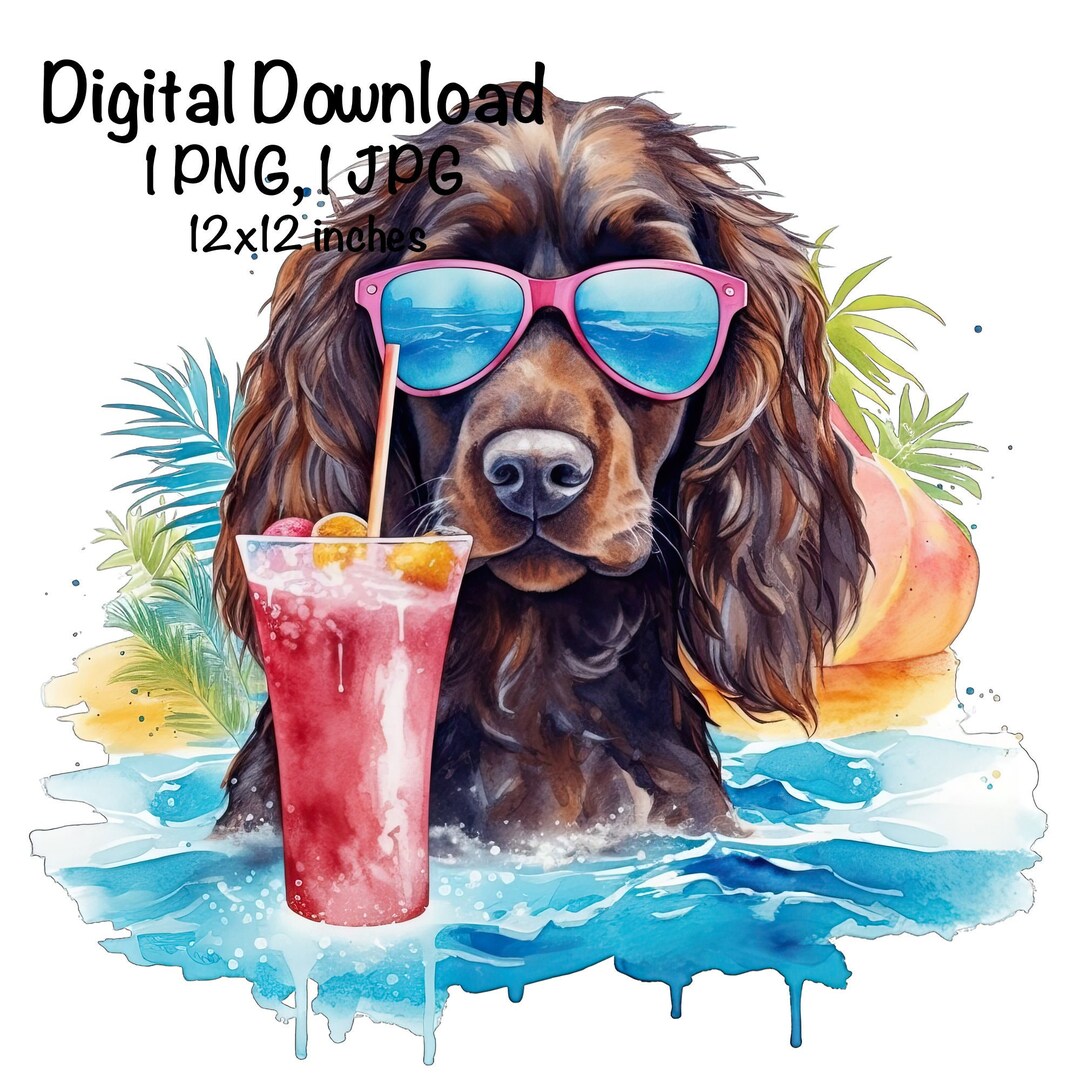Funny Boykin Spaniel Dog Watercolor Clipart Sunglasses Cold Drink ...