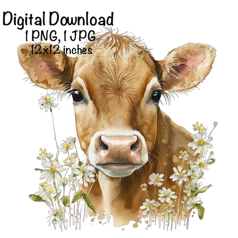 Dairy Milk Cow Watercolor Clipart Highland Cow Daisy Flowers - Etsy