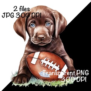 Football Labrador Dog PNG Watercolor Clipart Cute Labrador Puppy Dog ...