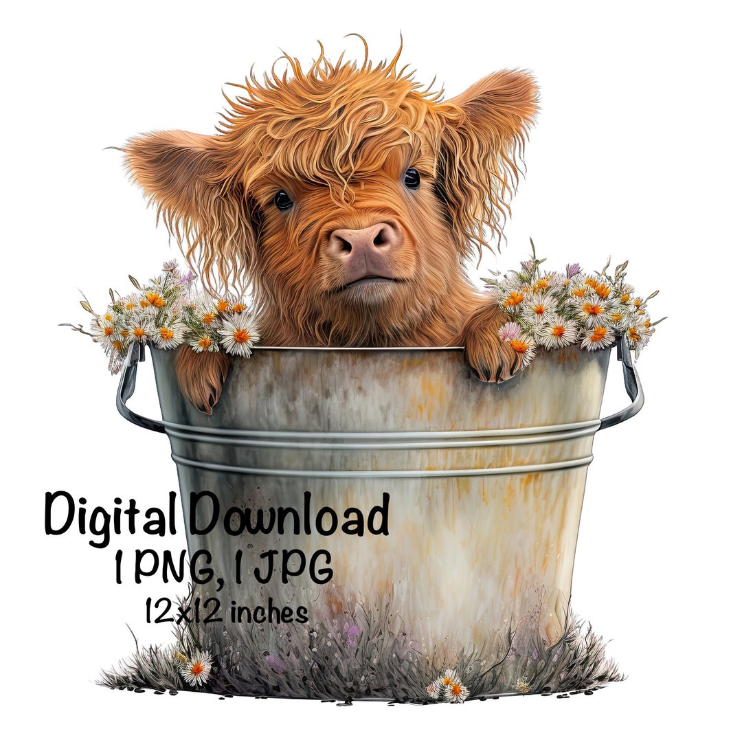 Highland Cow Watercolor Clipart Cute Highland Cow in a Bucket Baby Cow ...