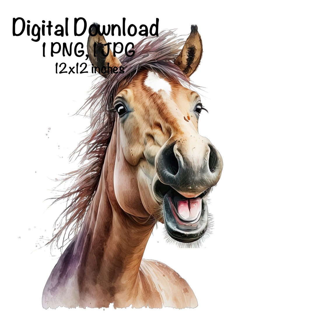 Funny Horse Watercolor Clipart Cute Horse Neigh Horse Riding PNG ...