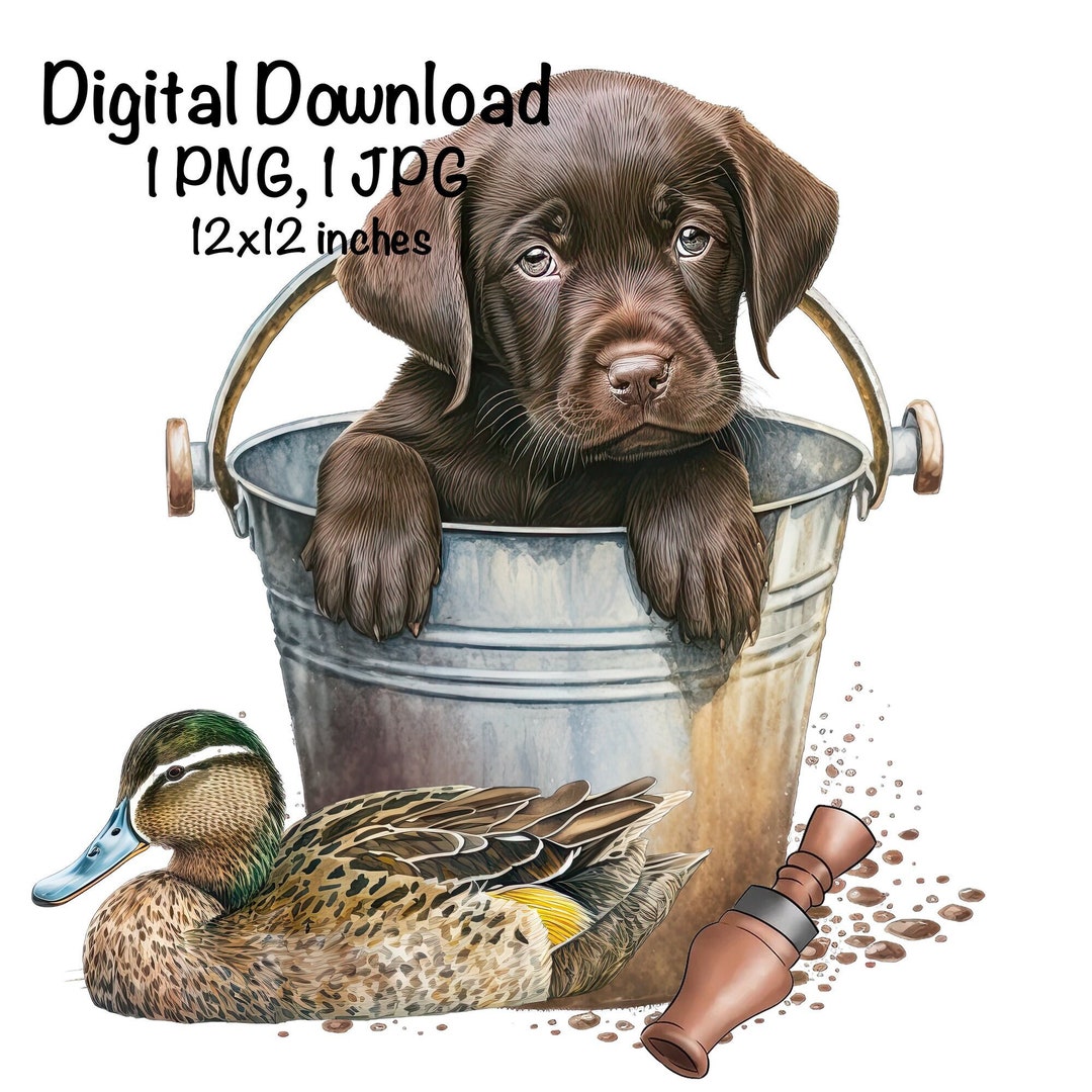Labrador Puppy Watercolor Clipart Cute Lab Dog in a Bucket Baby ...