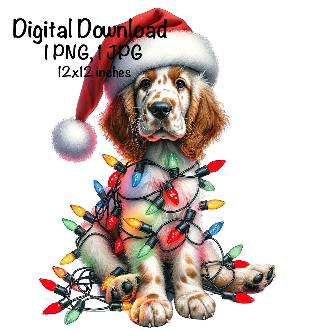 Christmas English Setter PNG Christmas Lights Santa Setter Dog ...