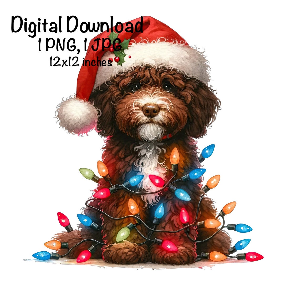 Christmas Goldendoodle Puppy PNG Christmas Lights Santa Brown Doodle ...
