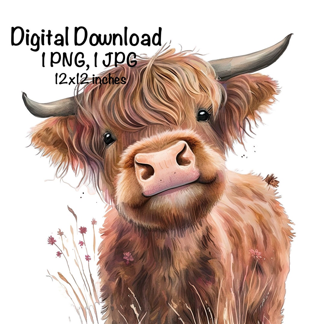 Highland Cow Watercolor Clipart Cute Highland Cow Funny Baby Cow PNG ...