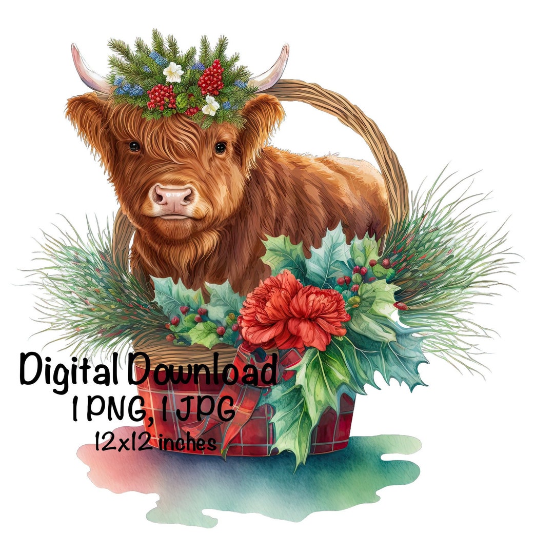 Highland Cow Watercolor Clipart Highland Cow Christmas Flowers Holiday ...