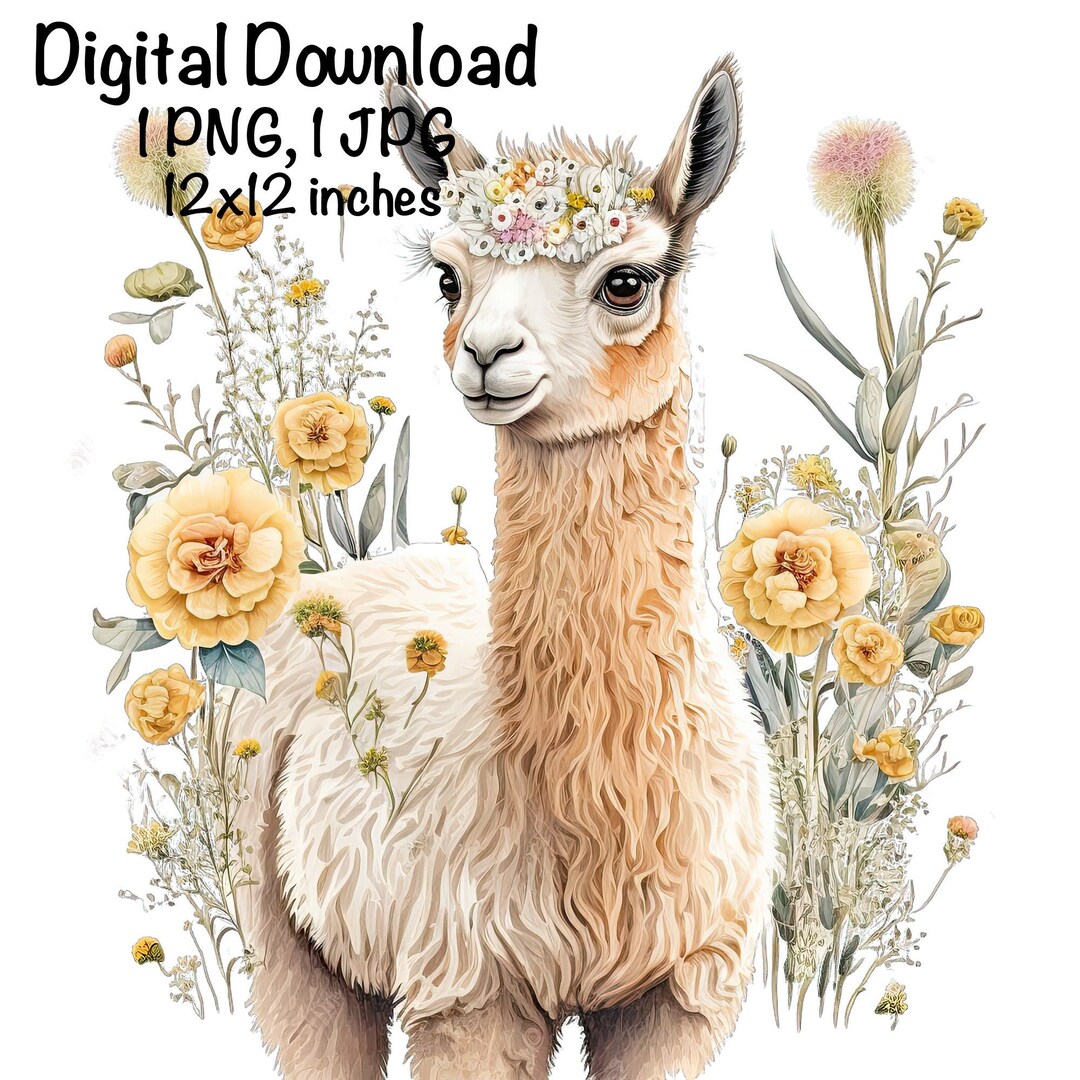 Llama Watercolor Clipart Farm Llama Spring Flowers PNG Commercial Use ...