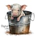 Pig Watercolor Clipart Cute Pig in Bucket Baby Pig Piglet PNG ...