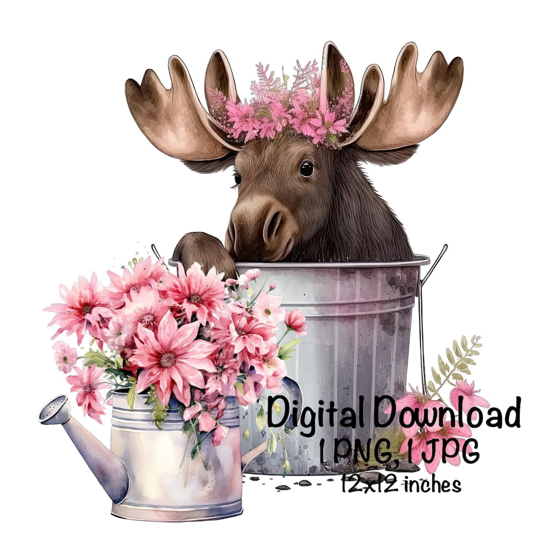 Cute Moose & Spring Flowers PNG Commercial Use Moose Graphic Elk PNG ...