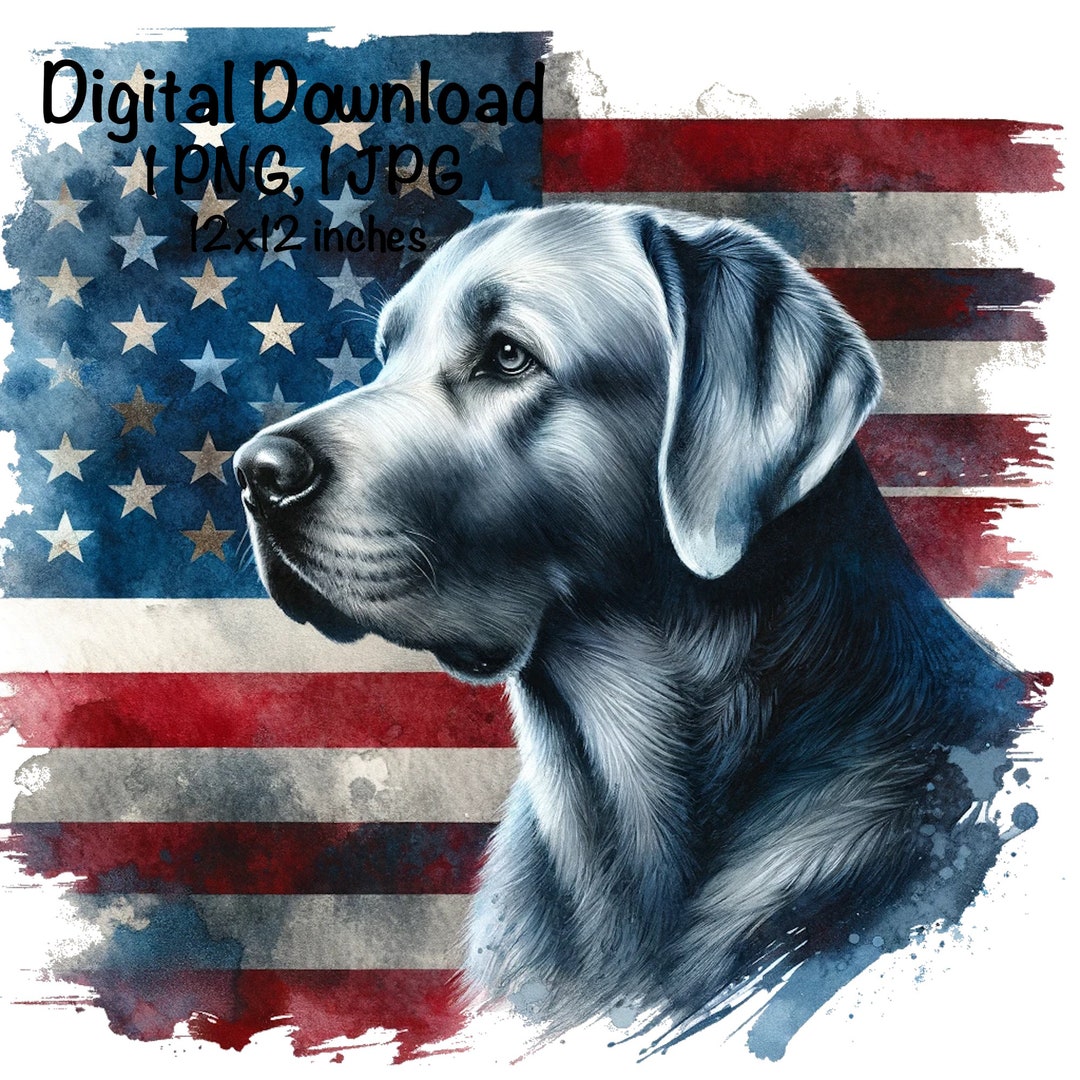 Silver Lab Flag PNG | Patriotic USA Labrador Flag Sublimation ...