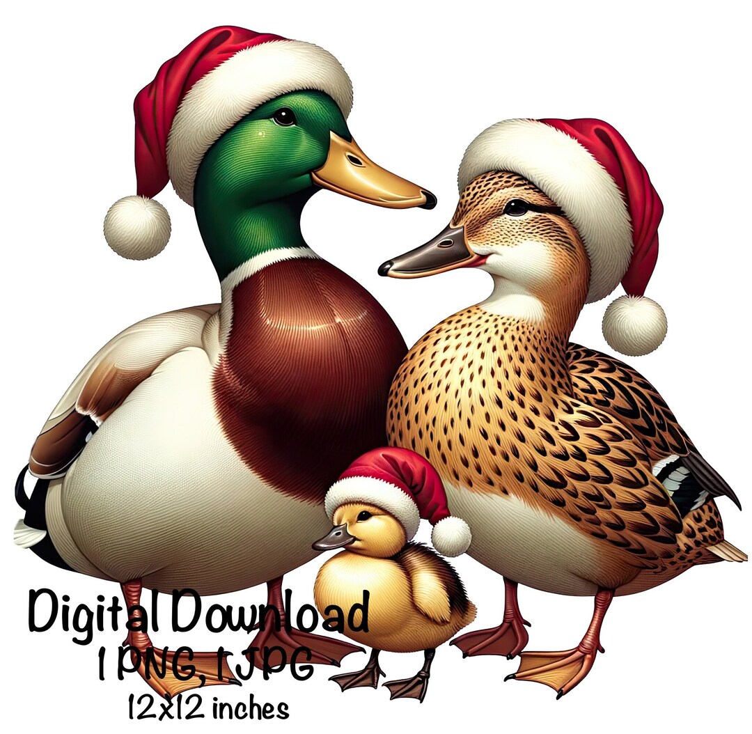 Christmas Duck Family PNG Sublimation Design, Santa Duck Png, Christmas ...