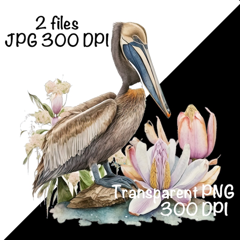 Pelican Watercolor Clipart Louisiana Brown Pelican Magnolia Flowers PNG ...