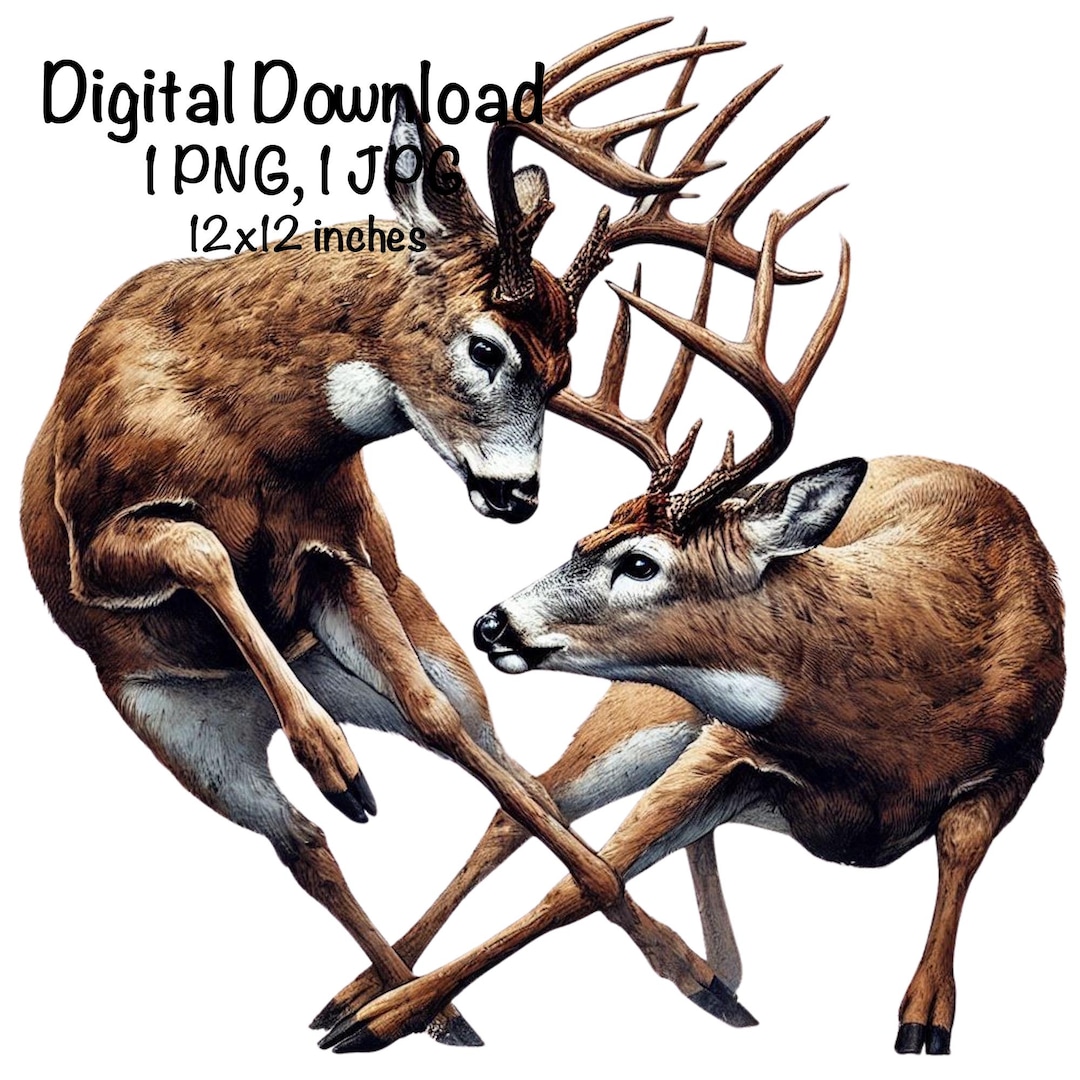 Deer Fighting Horns Racks Bucks Hunting Sublimation PNG, Wildlife ...