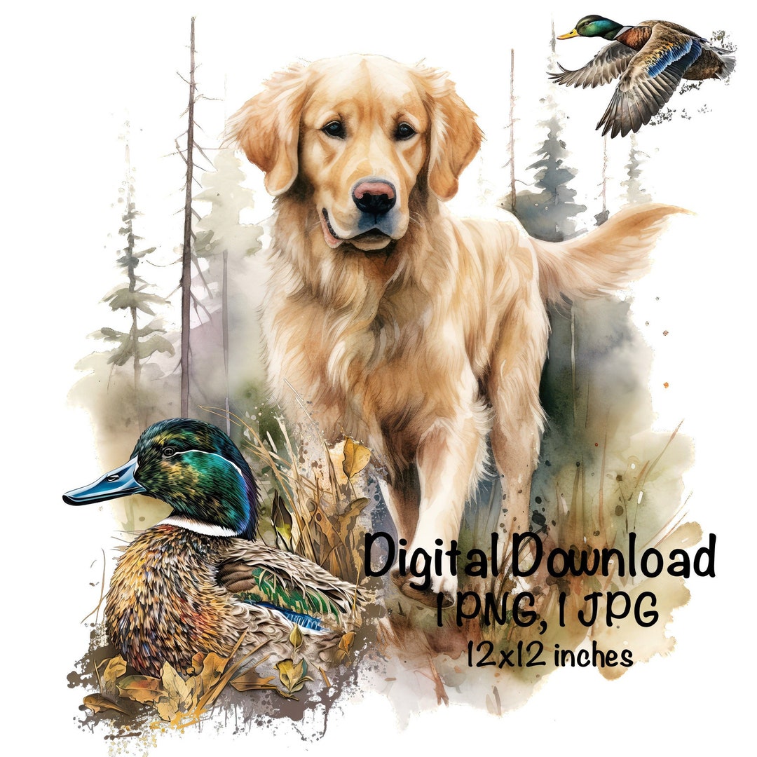 Duck Hunting Dog Watercolor Clipart Golden Retriever Dog PNG Commercial ...